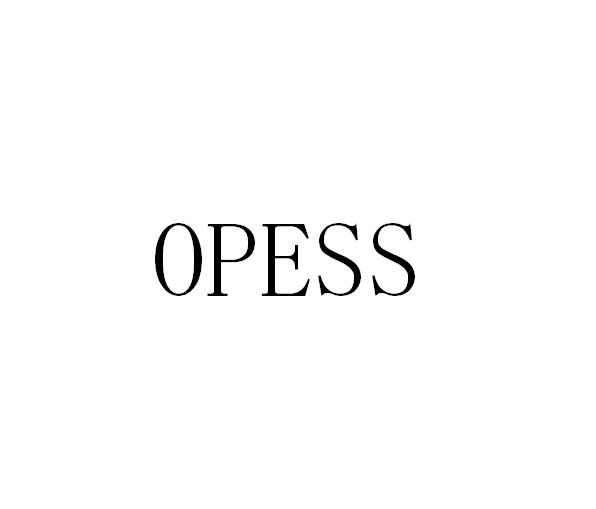 商标名称OPESS、商标申请人傲普（上海）新能源有限公司的商标详情 - 标库网官网商标查询
