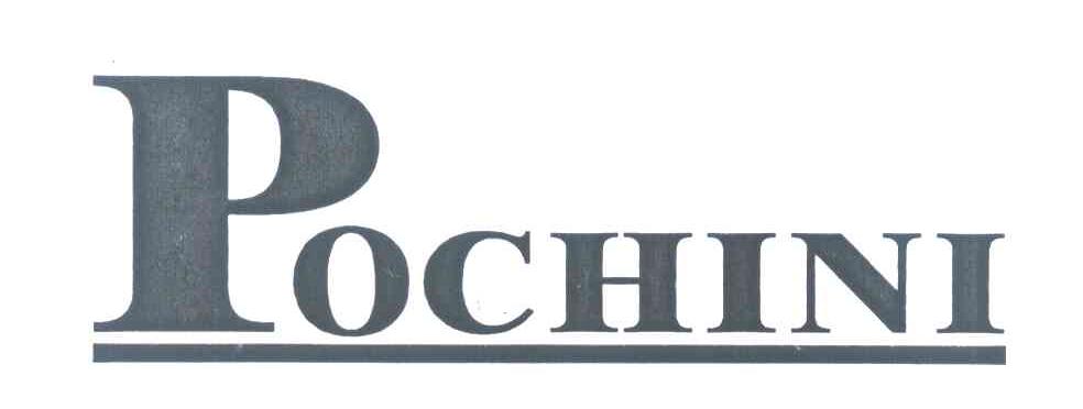 商标名称POCHINI、商标申请人袁兴君的商标详情 - 标库网官网商标查询